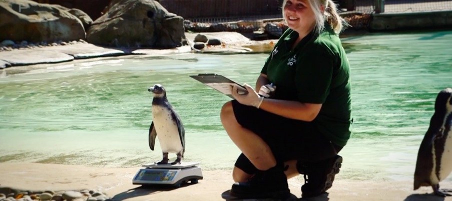 Animal Courses Direct