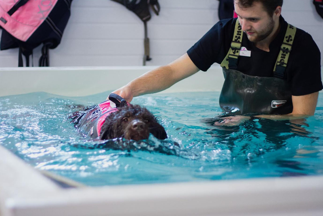 Animal Courses Direct