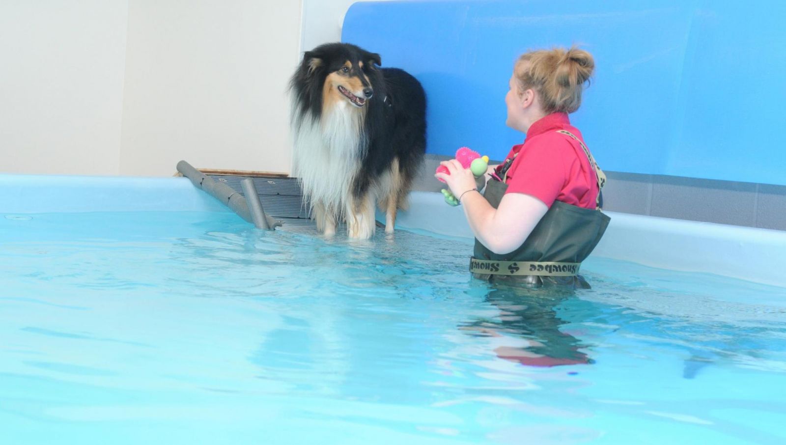 Animal Courses Direct